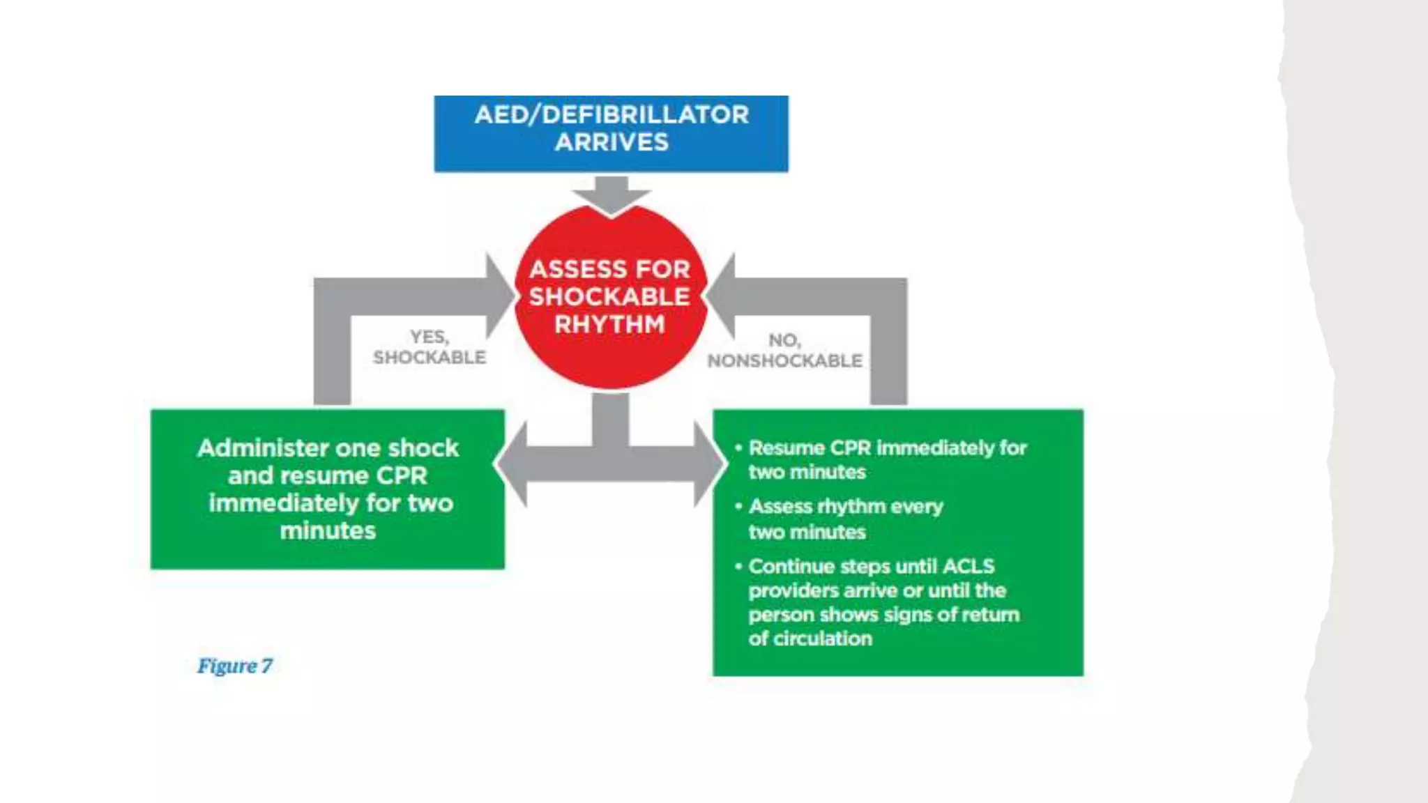 CHAIN OF SURVIVAL- BLS ALGORITHM FOR ADULT.pptx
