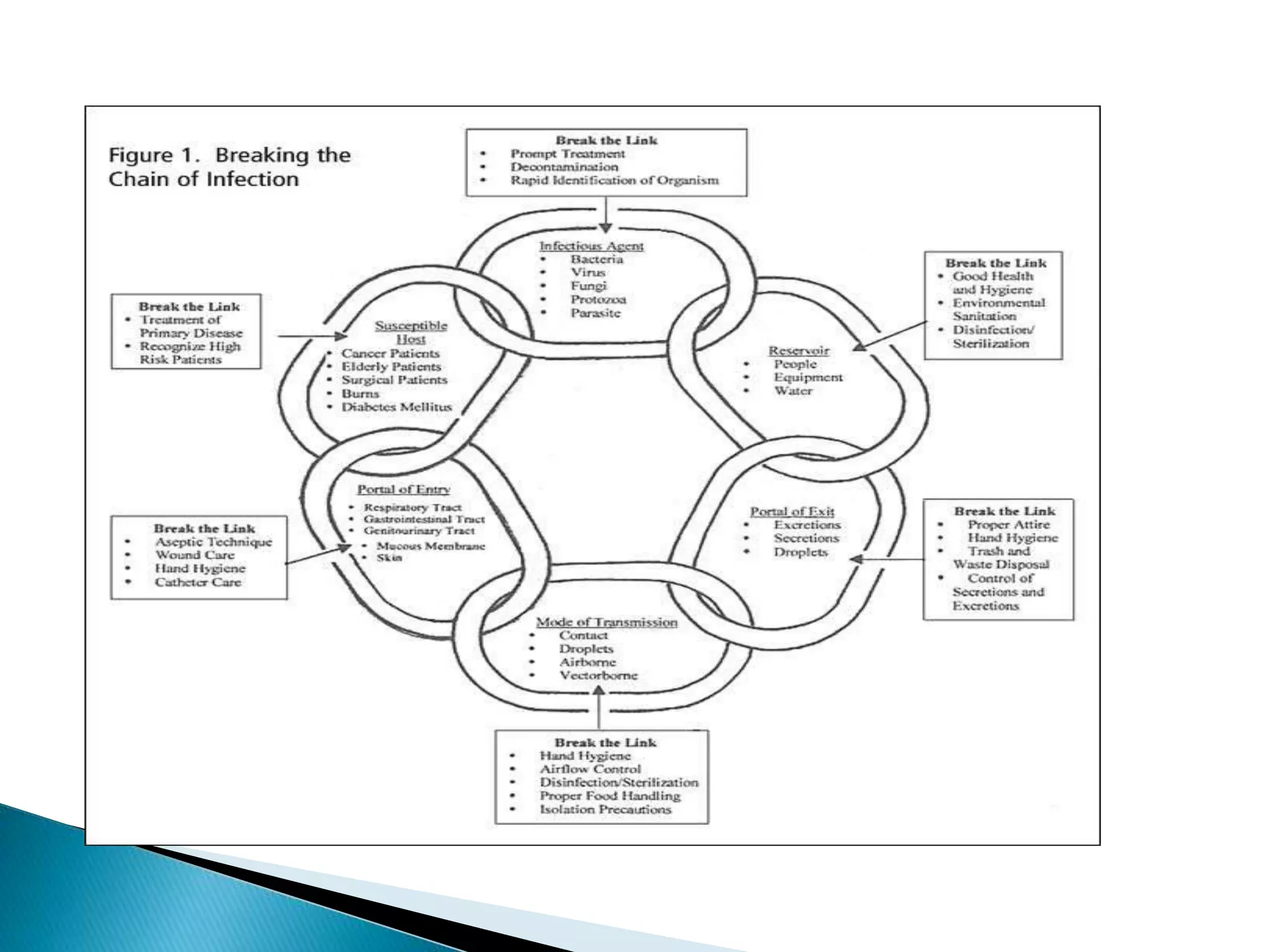 Chain of Infection | PPTX