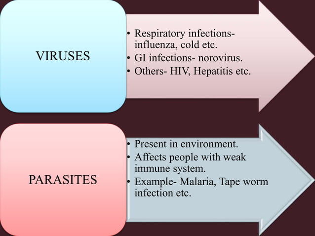Chain of Infection | PPTX | Infectious Diseases | Diseases and Conditions