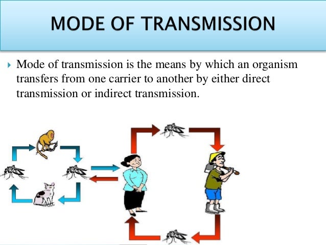 Chain Of Transmission Of Infectious Disease
