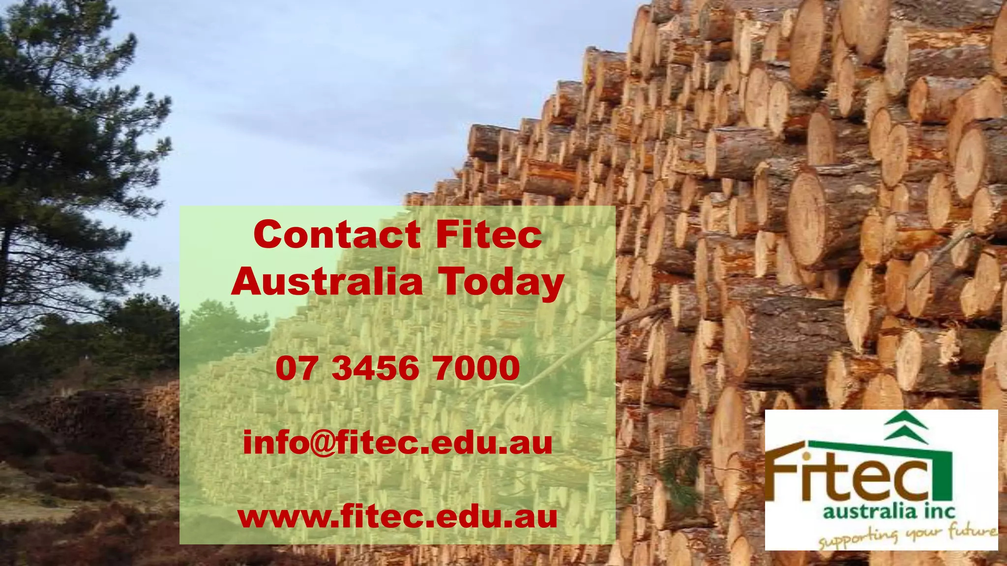 Chainsaw course | PPTX | Woodworking | Arts and Crafts