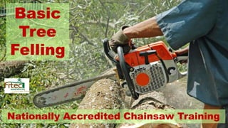 Chainsaw course | PPTX | Woodworking | Arts and Crafts