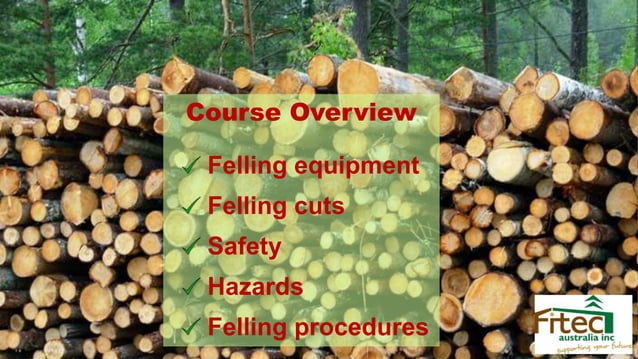 Chainsaw course | PPTX | Woodworking | Arts and Crafts