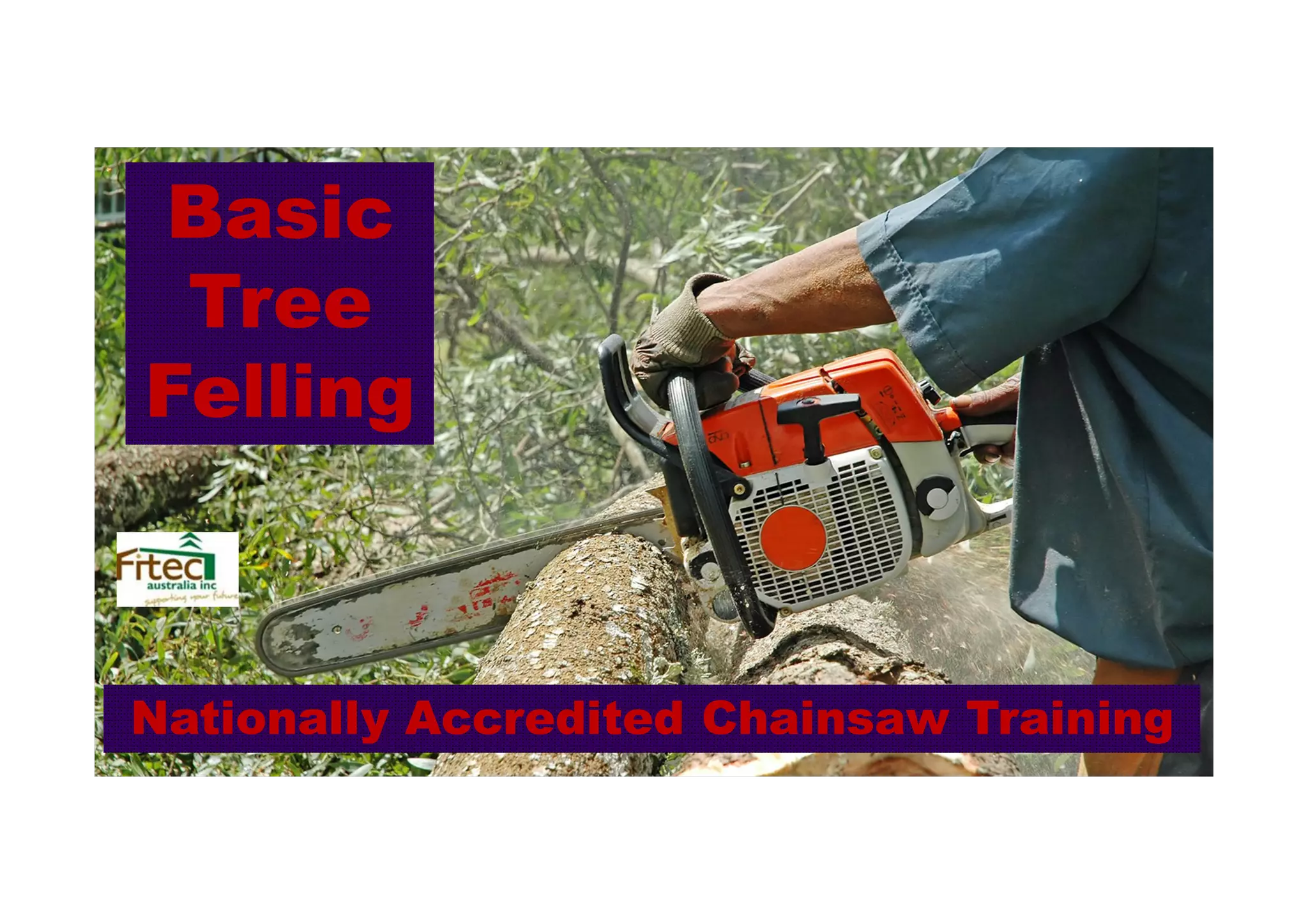 Chainsaw course | PDF