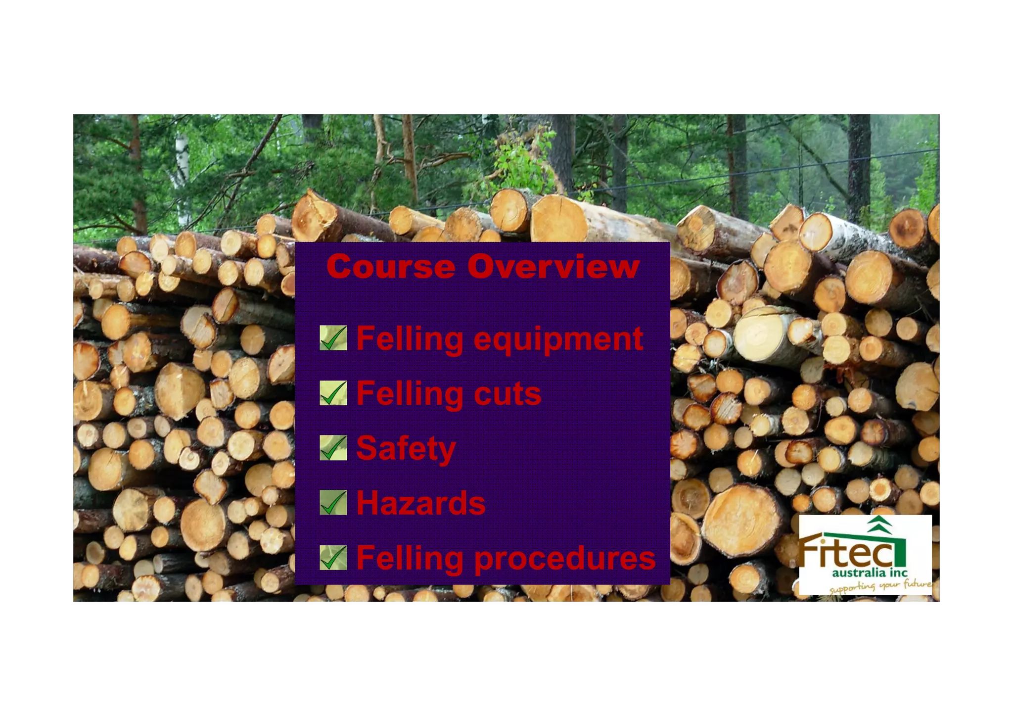 Chainsaw course | PDF