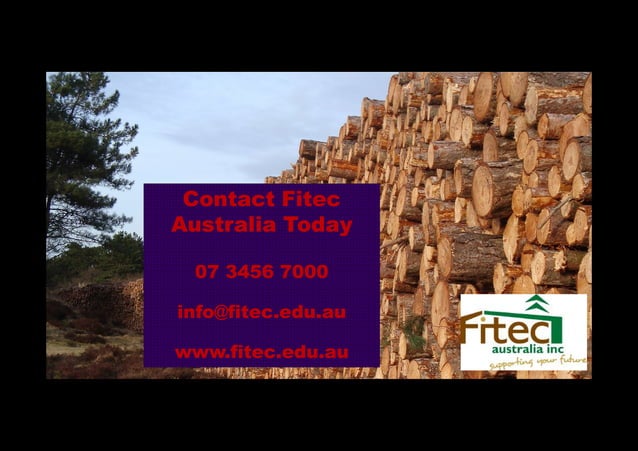 Chainsaw course | PDF