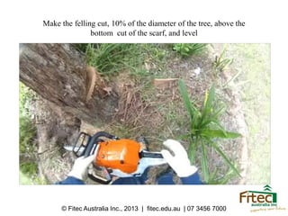 Chainsaw Ticket - Tree Felling Pictures | PDF | Woodworking | Arts and ...