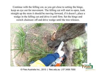 Chainsaw Ticket - Tree Felling Pictures | PDF | Woodworking | Arts and ...