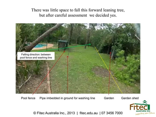 Chainsaw Ticket - Tree Felling Pictures | PDF | Woodworking | Arts and ...