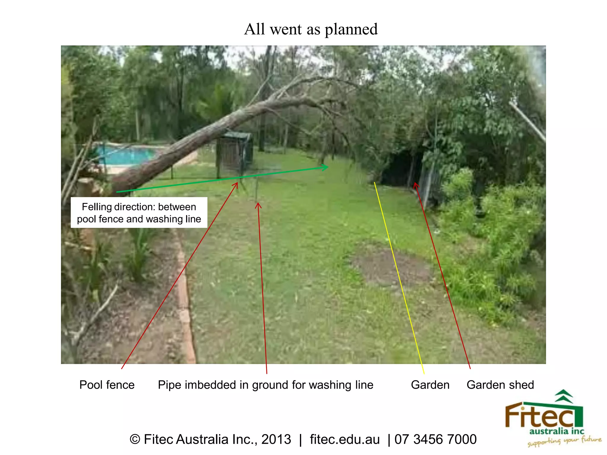 Chainsaw Ticket - Tree Felling | PDF