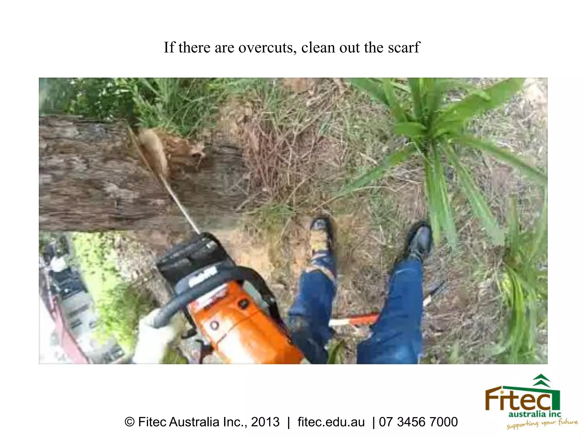 Chainsaw Ticket - Tree Felling | PDF