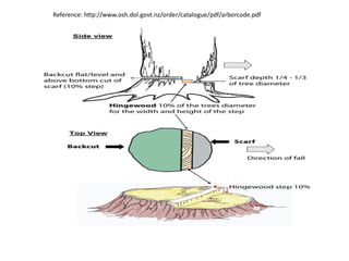 Chainsaw Ticket - Tree Felling | PDF
