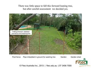 Chainsaw Ticket - Tree Felling | PDF