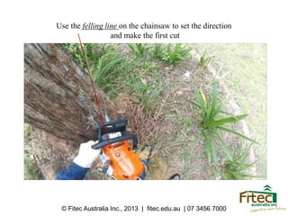 Chainsaw Ticket - Tree Felling | PDF
