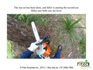 Chainsaw Ticket - Tree Felling | PDF