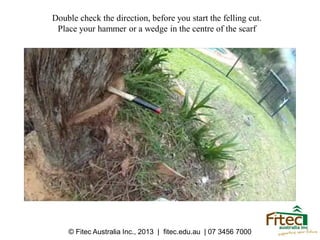 Chainsaw Ticket - Tree Felling | PDF