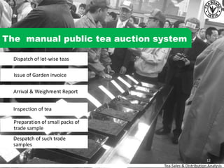 Tea Industry Distribution Channel Study - Mumbai | PPTX