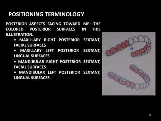 dental Chair position | PPTX
