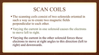 Chaitrali jadhav:- scanning electron microscope | PPT