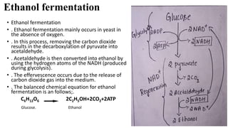 Fermentation | PPTX