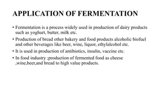 Fermentation | PPTX