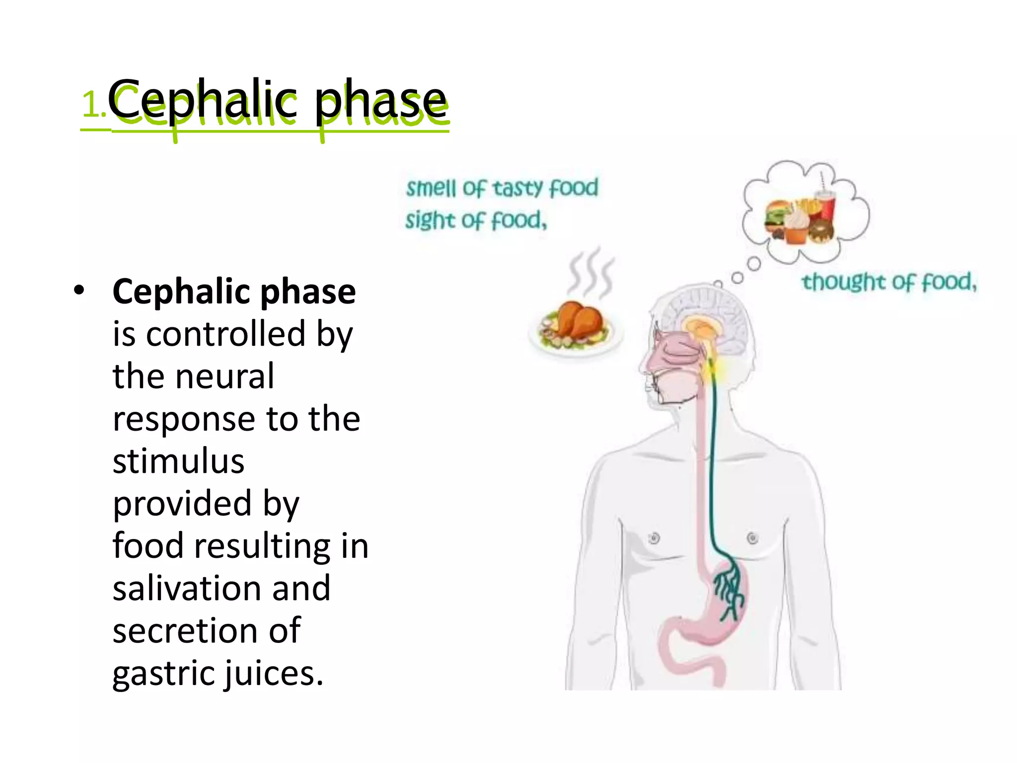 Hormonal control of the gastrointestinal tract | PPTX