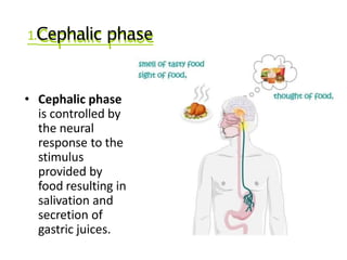Hormonal control of the gastrointestinal tract | PPTX