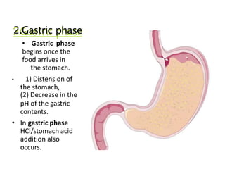 Hormonal control of the gastrointestinal tract | PPTX