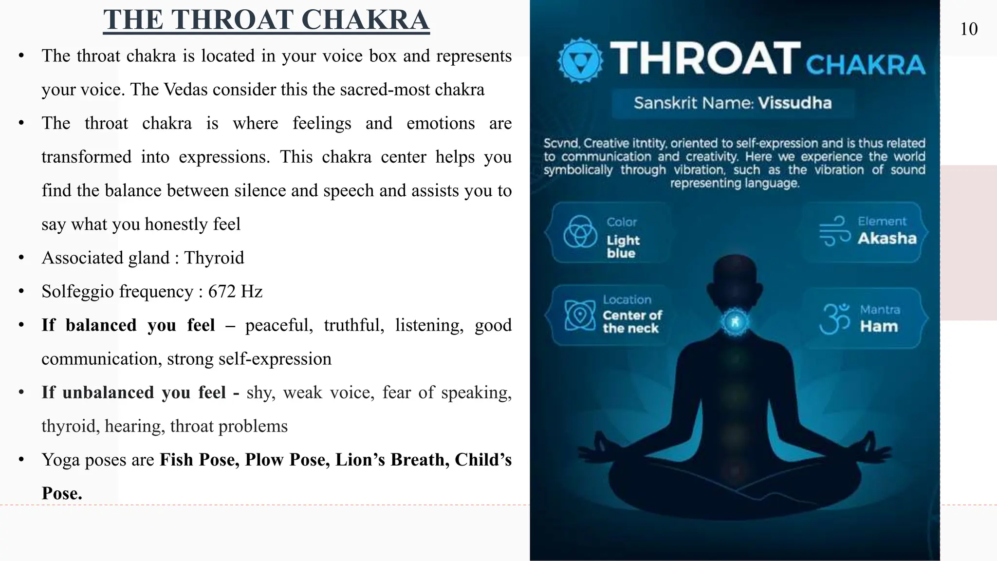 The Chakra System in our body - A Portal to Interdimensional ...