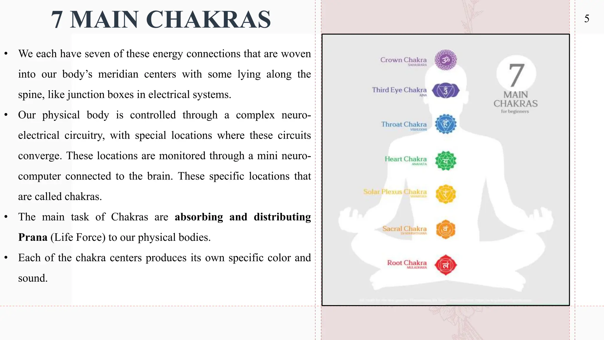 The Chakra System in our body - A Portal to Interdimensional ...