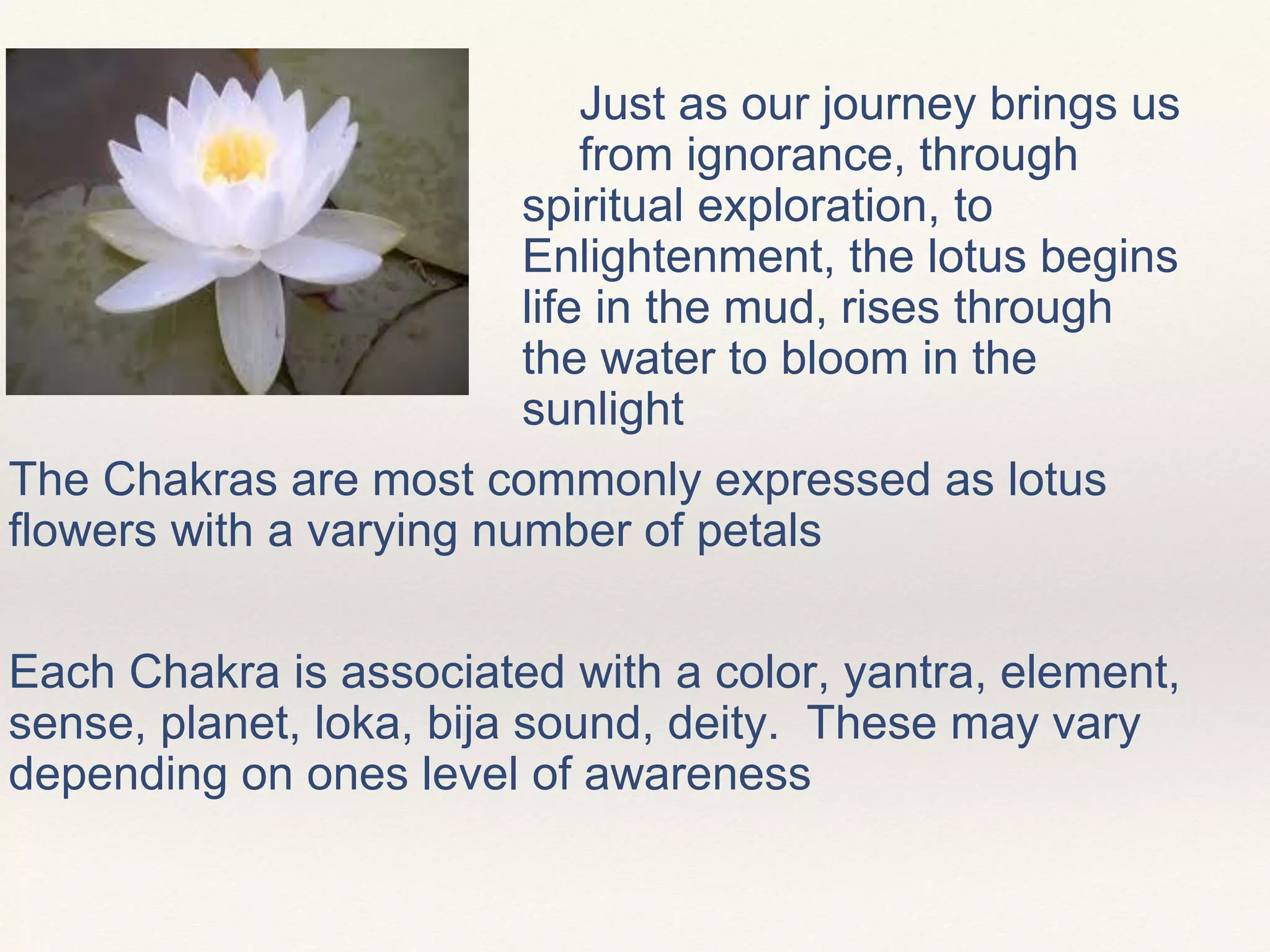 Chakras.pdf
