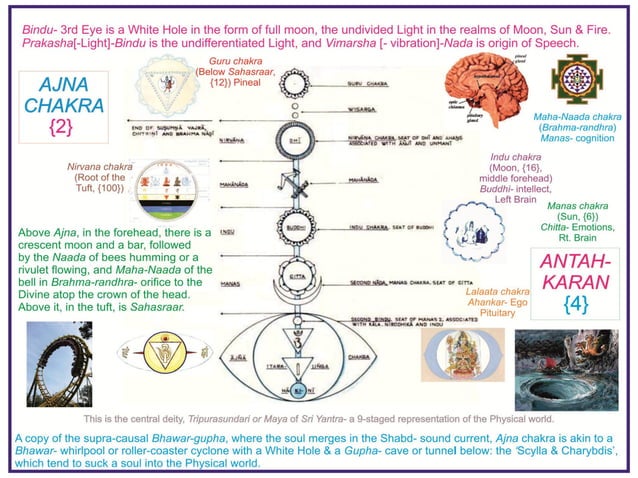 Chakras of the micro & macrocosm | PPT