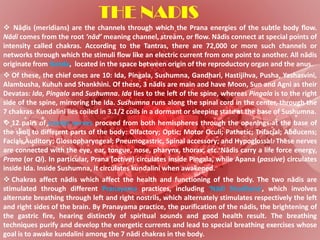 Chakras of the micro & macrocosm | PDF