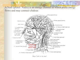 Chakra system slide presentation | PDF
