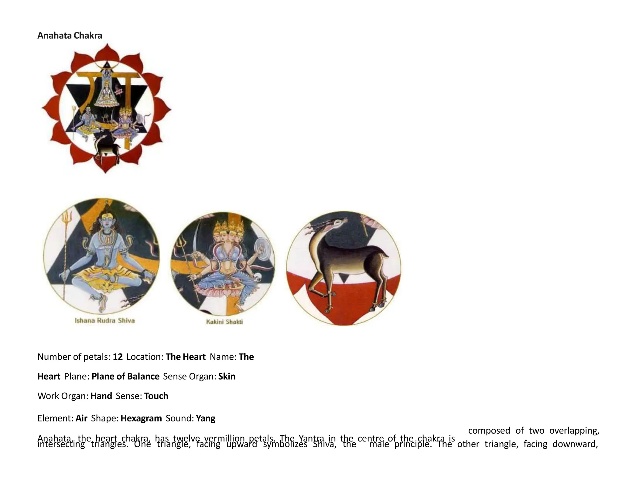 chakra yoga - kundalini yoga - awakening | PPTX