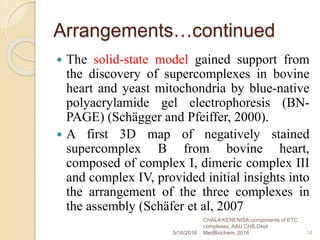 Chala kenenisa(electron transport chain) | PPT
