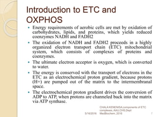 Chala kenenisa(electron transport chain) | PPT