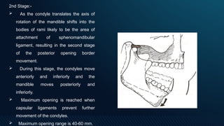 mandibular movements and their importance | PPTX