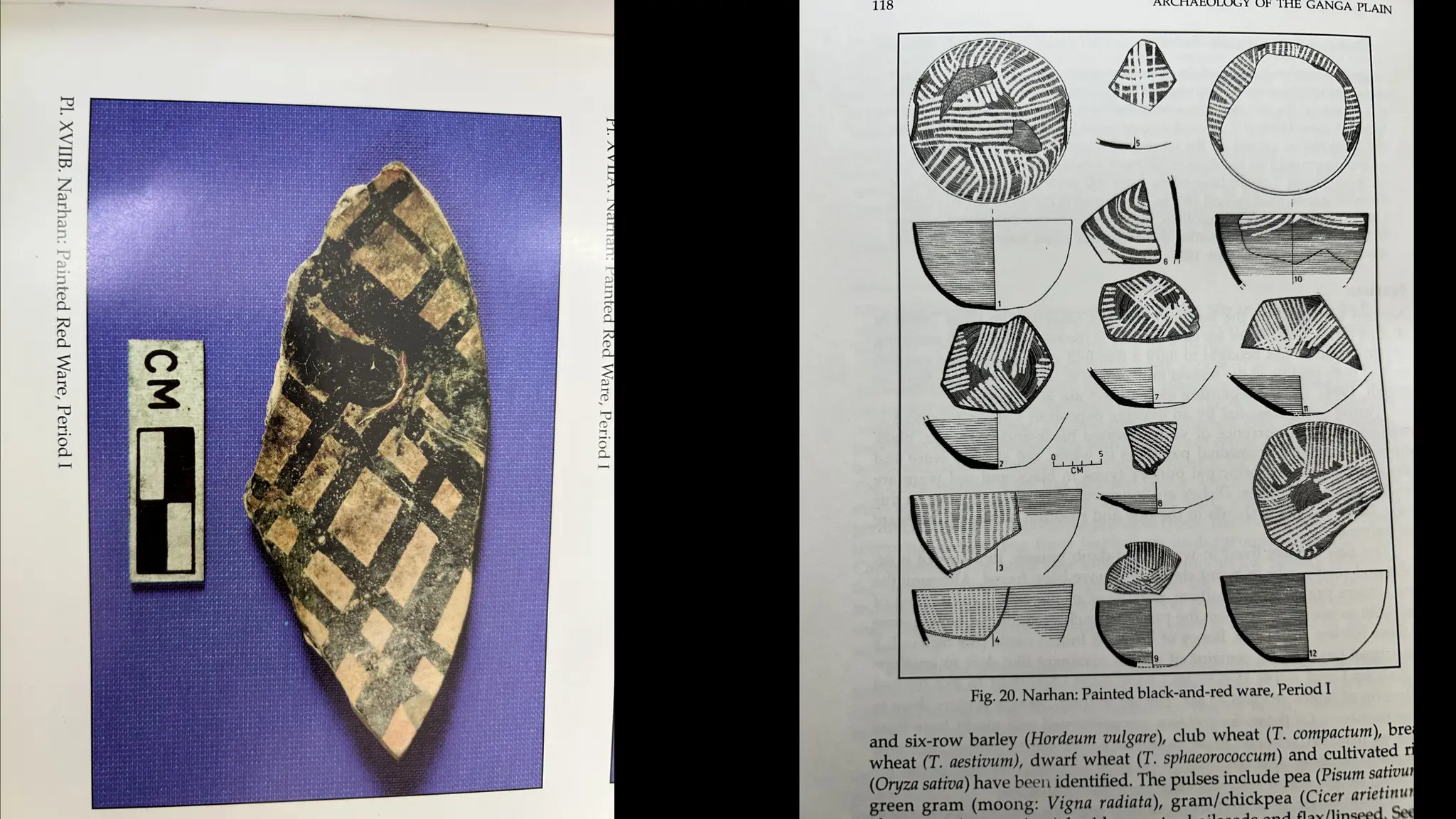 Chalcolithic Culture of Ganga-Yamuna Doab.pptx