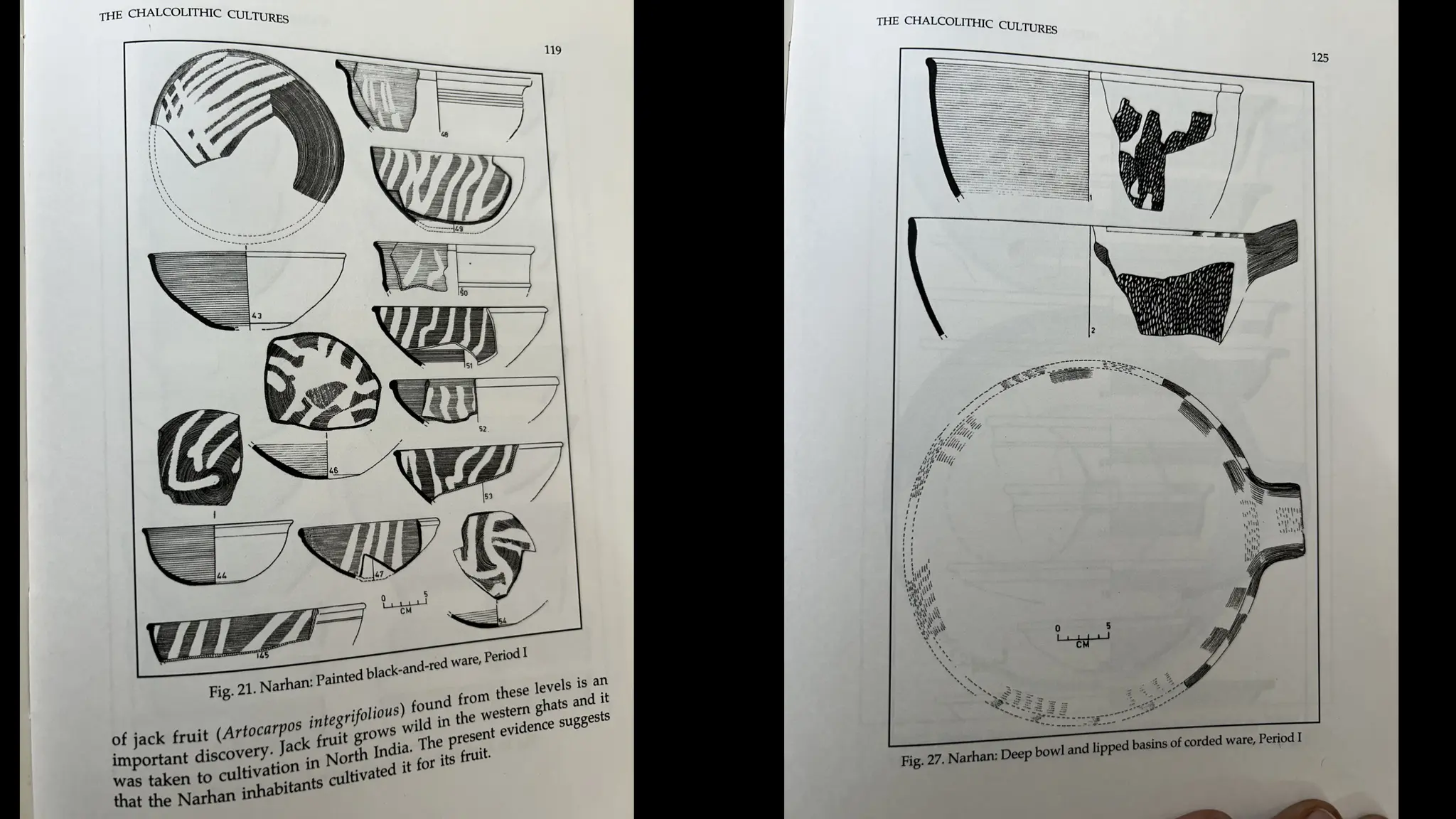 Chalcolithic Culture of Ganga-Yamuna Doab.pptx