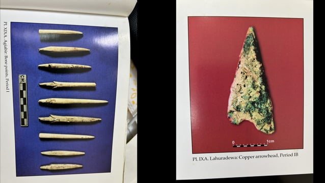 Chalcolithic Culture of Ganga-Yamuna Doab.pptx