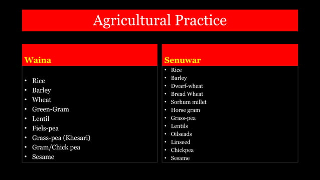 Chalcolithic Culture of Ganga-Yamuna Doab.pptx