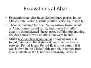 Chalcolithic cultures of india | PDF