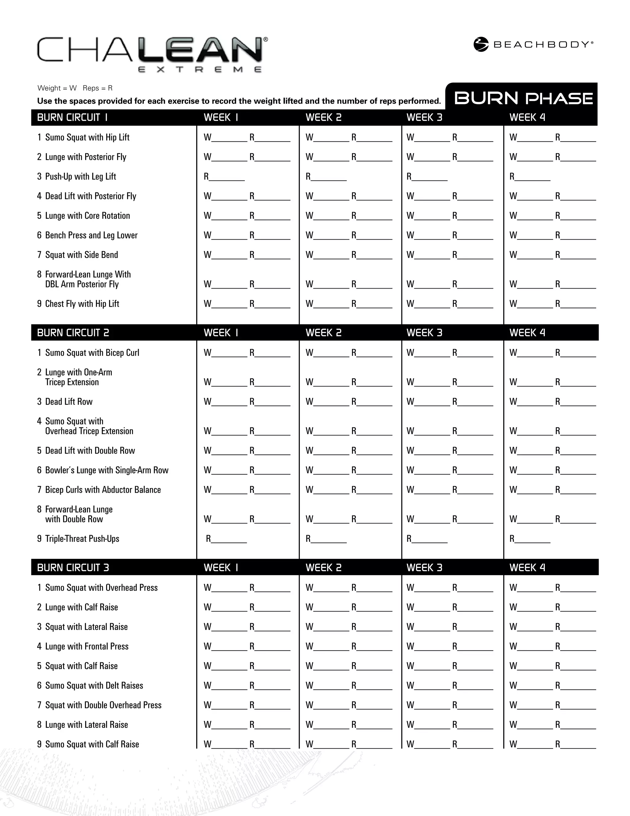 Chalean Extreme Worksheet | PDF