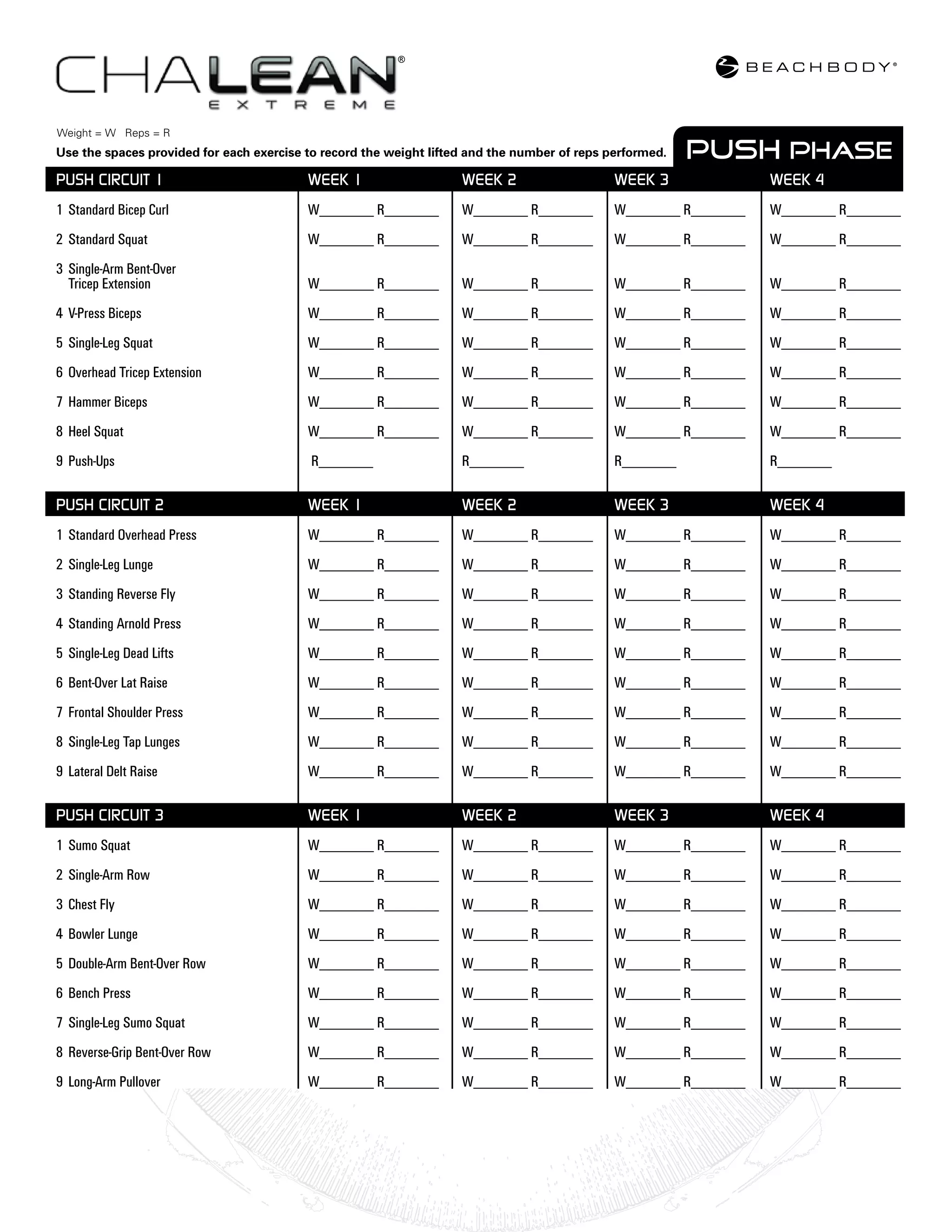 Chalean Extreme Worksheet | PDF