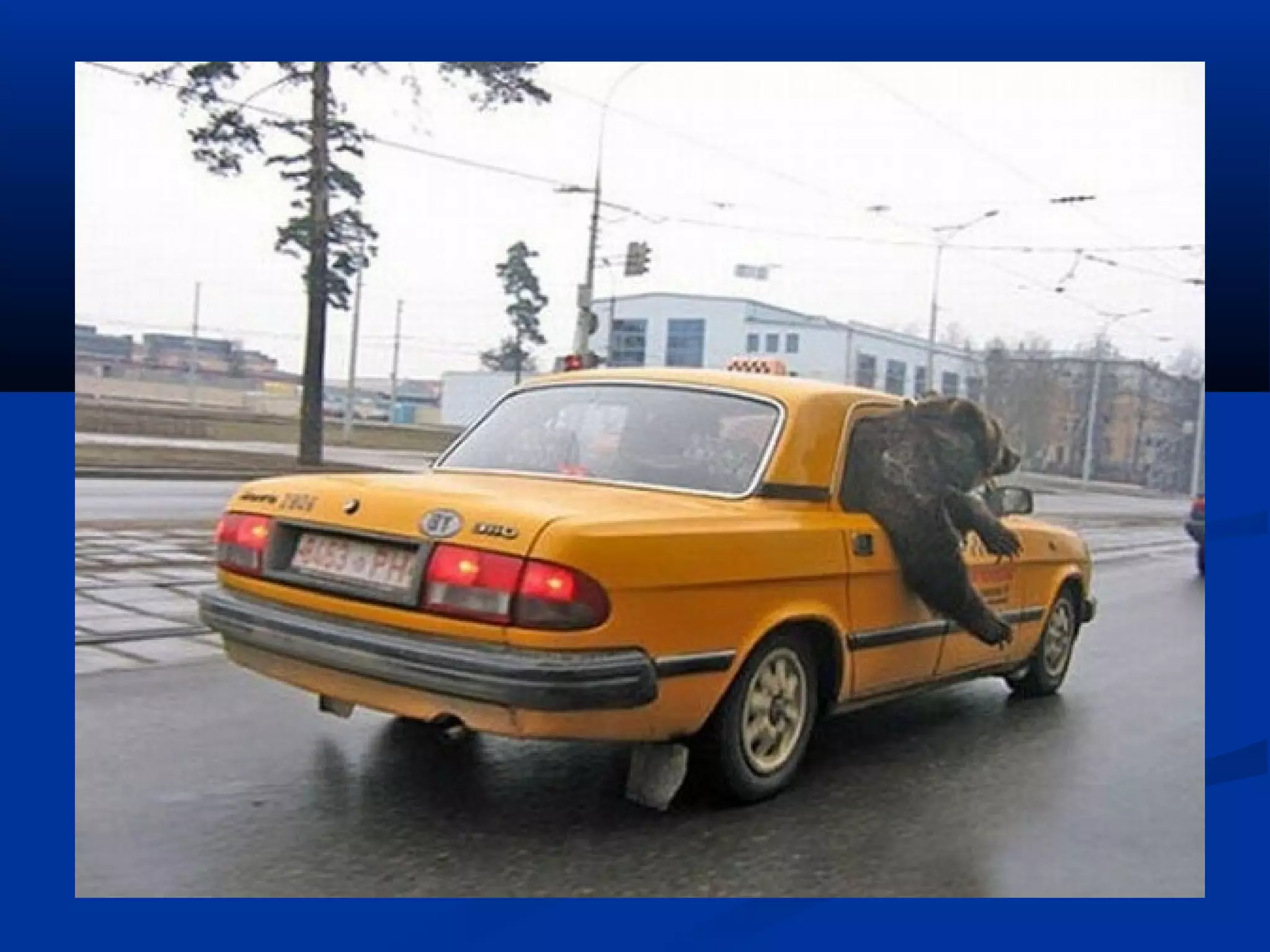 Challenge assumption 3 | PPT