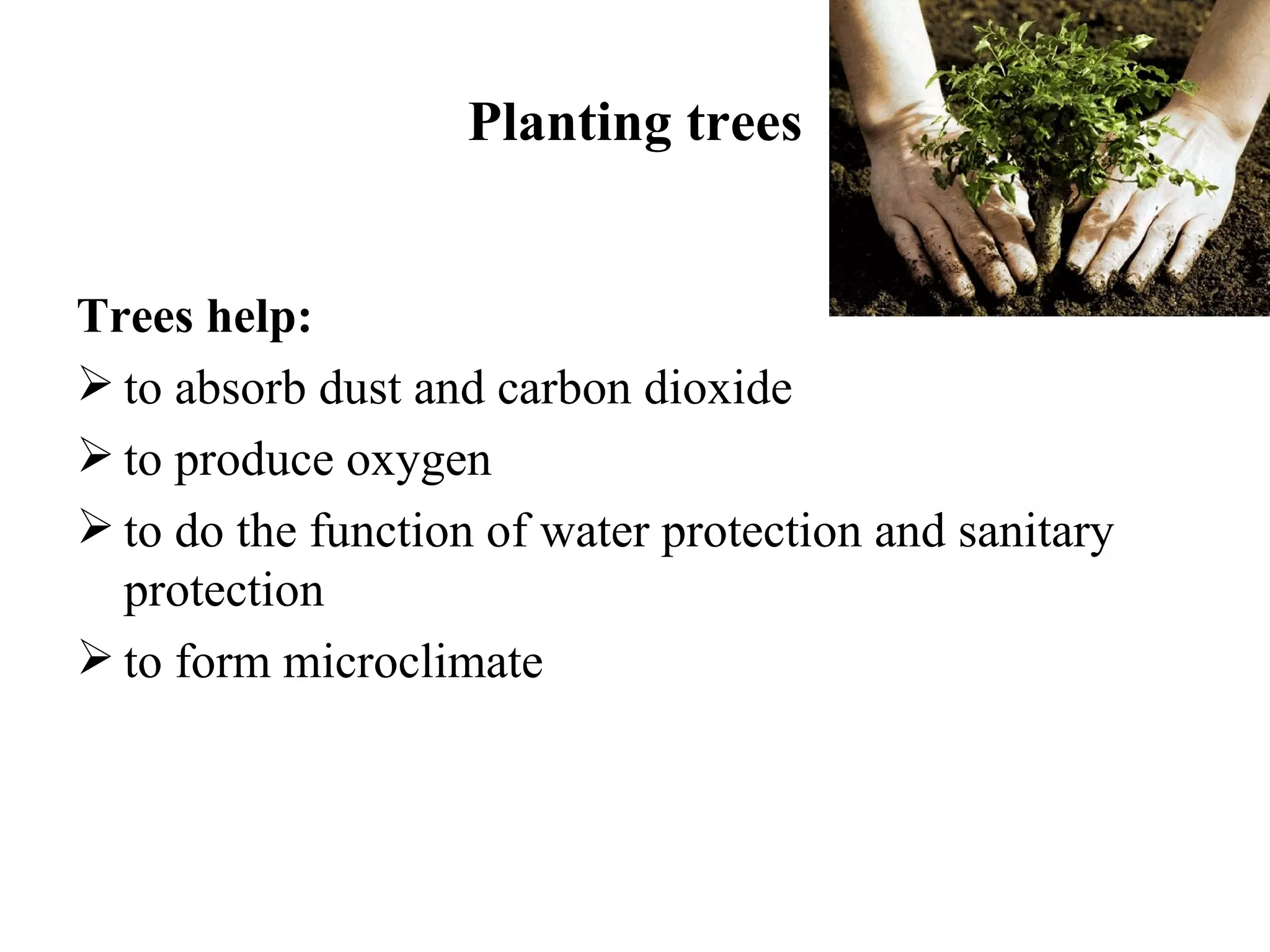 [Challenge:Future] Planting trees | PPT