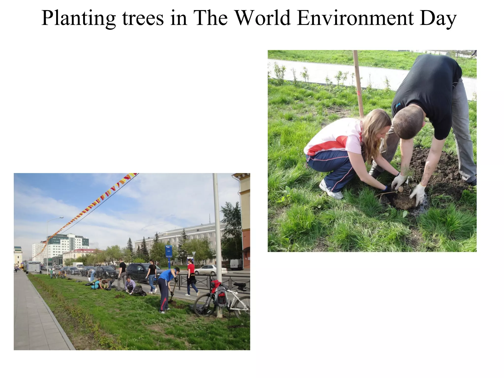 [Challenge:Future] Planting trees | PPT
