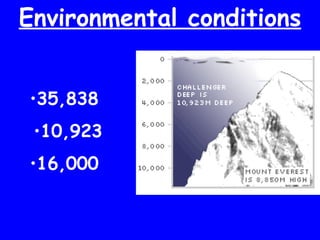 Challenger Deep | PPT