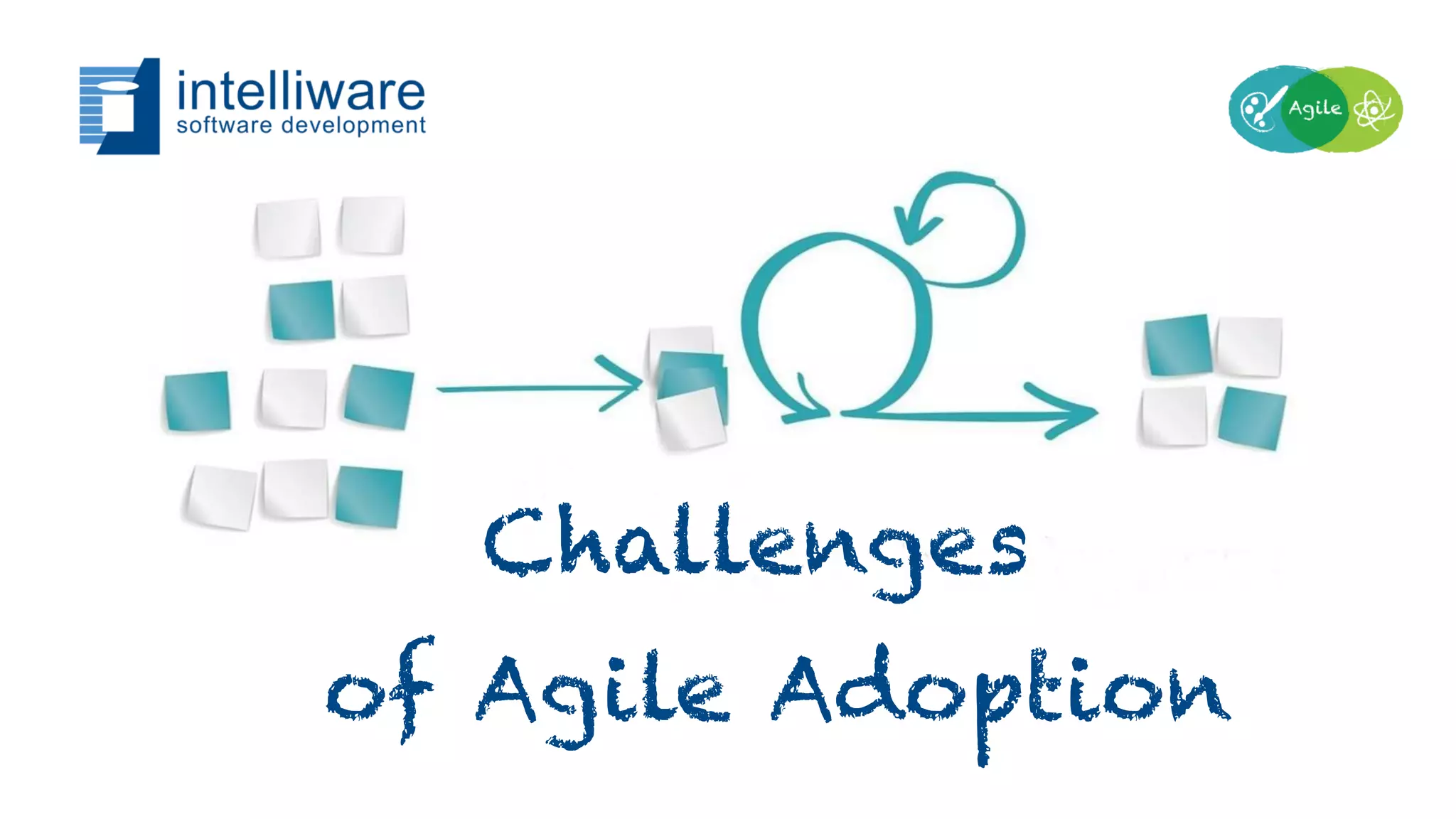 The Challenges of Agile Adoption | PDF